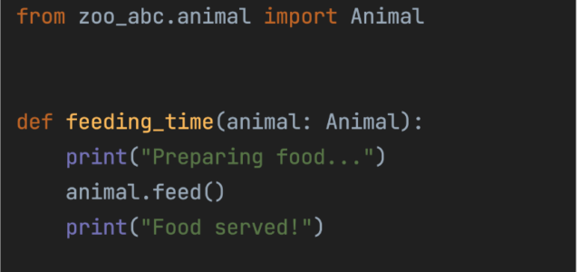We need to talk about Protocols in Python | Idego Group